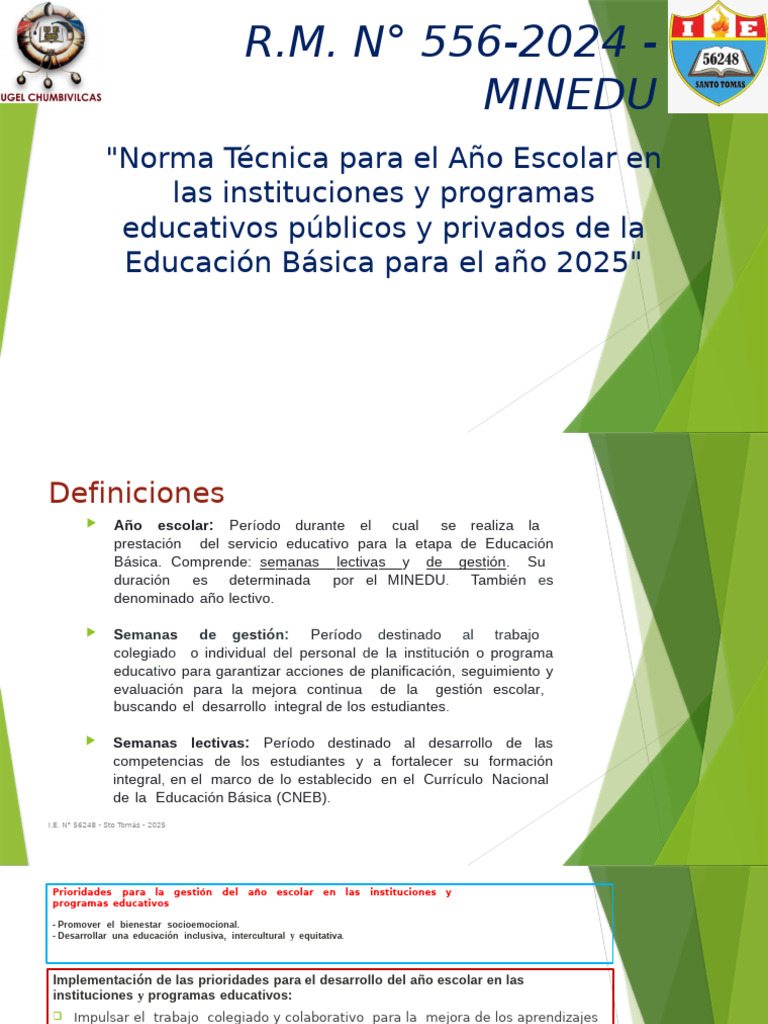 RM #556 - 2025-Minedu-Jsc | PDF | Educación primaria | Pedagogía