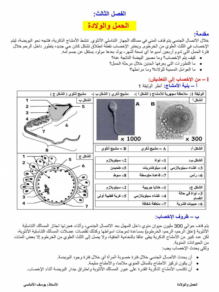 PDF 7 - Compress | PDF