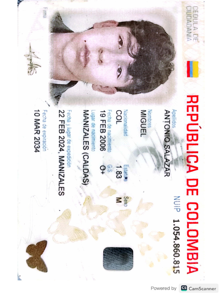 Cédula Miguel Antonio Salazar | PDF