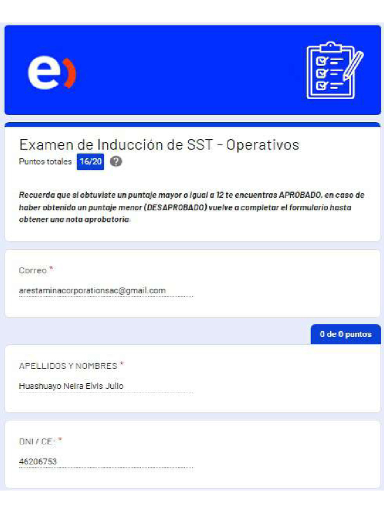 INDUCCION SST - EJM | PDF