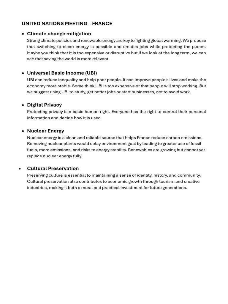 United Nations Meeting | PDF