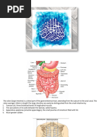 Sigmoid Colon Length and Anatomy | PDF | Large Intestine | Rectum