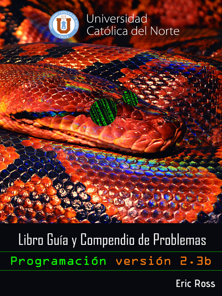 CompendioProblemas Programación v2.3b | PDF
