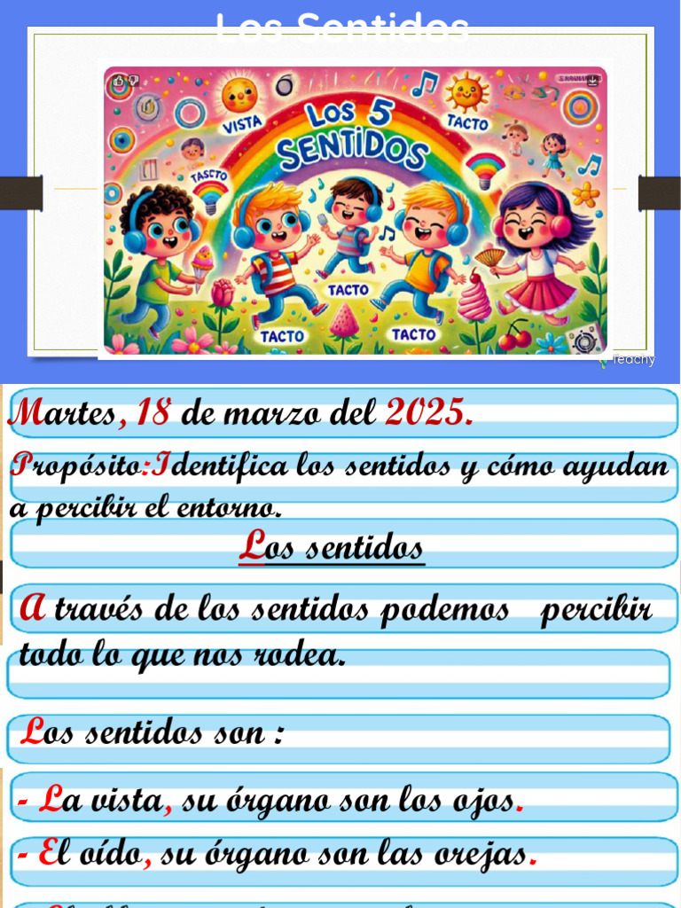 Ciencia - Los Sentidos | PDF