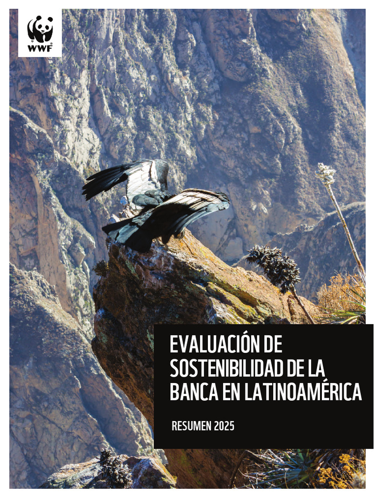 WWF Latin America Sustainable Banking Assessment Susba 2024 | PDF ...