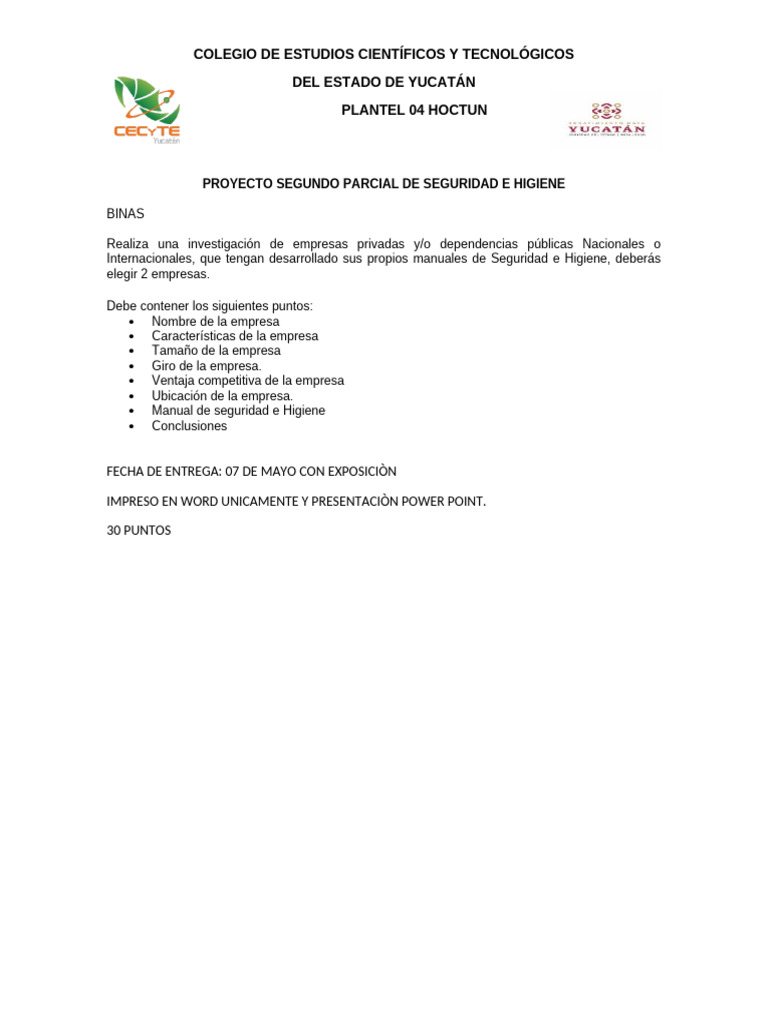 Proyecto Segundo Parcial | PDF