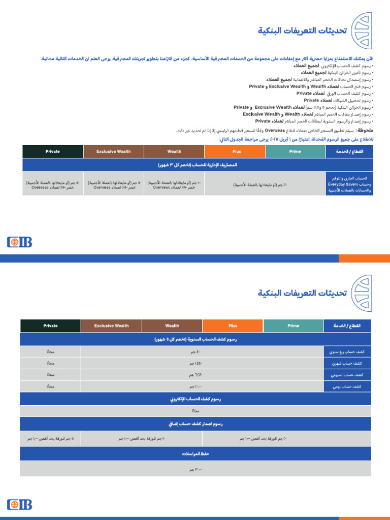 CIB-New Bank Tariffs 2025-AR | PDF