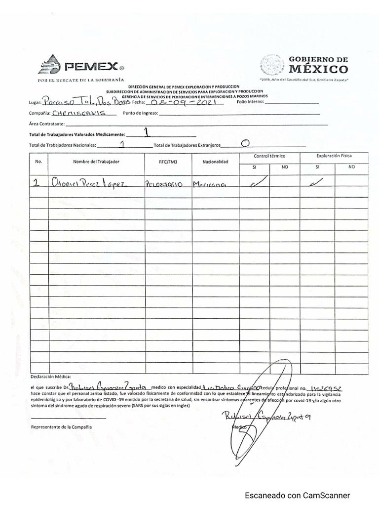 Formato Pemex | PDF