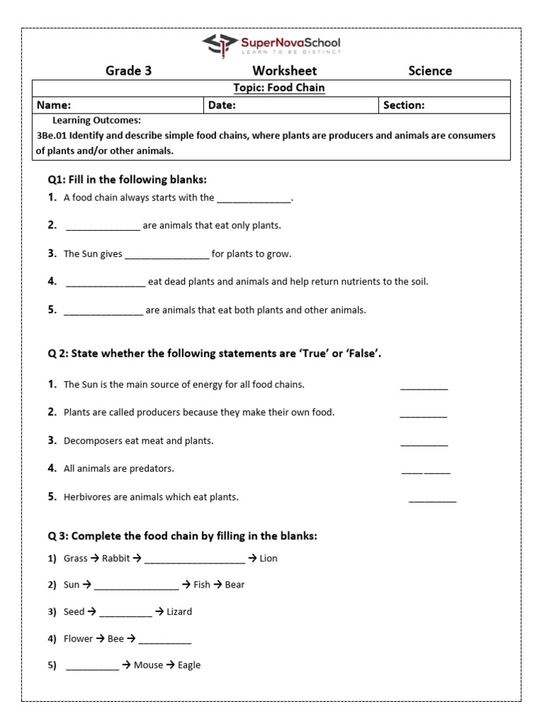 Science Grade 3 Reinforcement Worksheet 5 | PDF