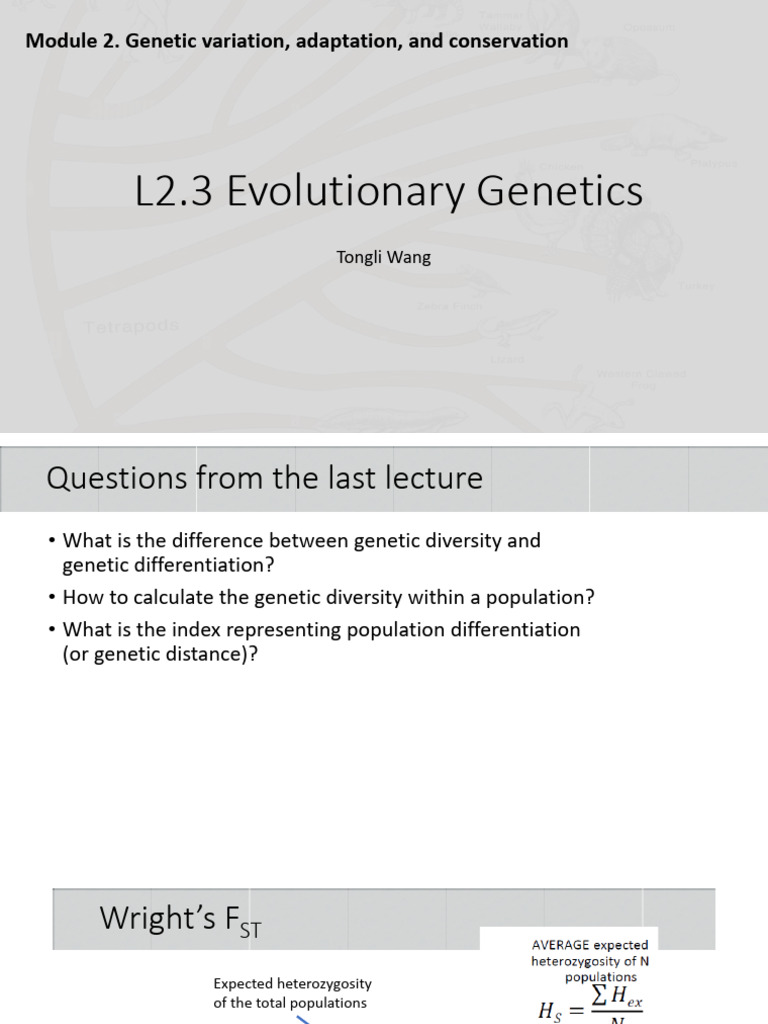 L2.3 Evolutionary Genetics | PDF | Natural Selection | Evolution