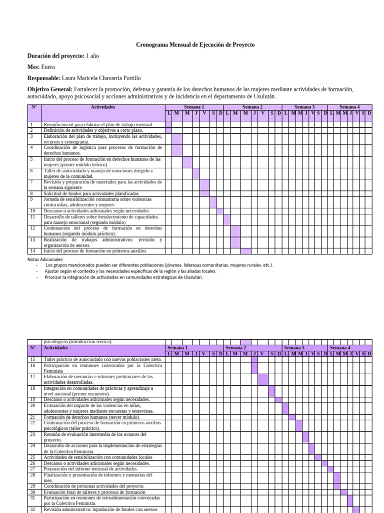 Cronograma Mensual de Ejecución de Proyecto | PDF