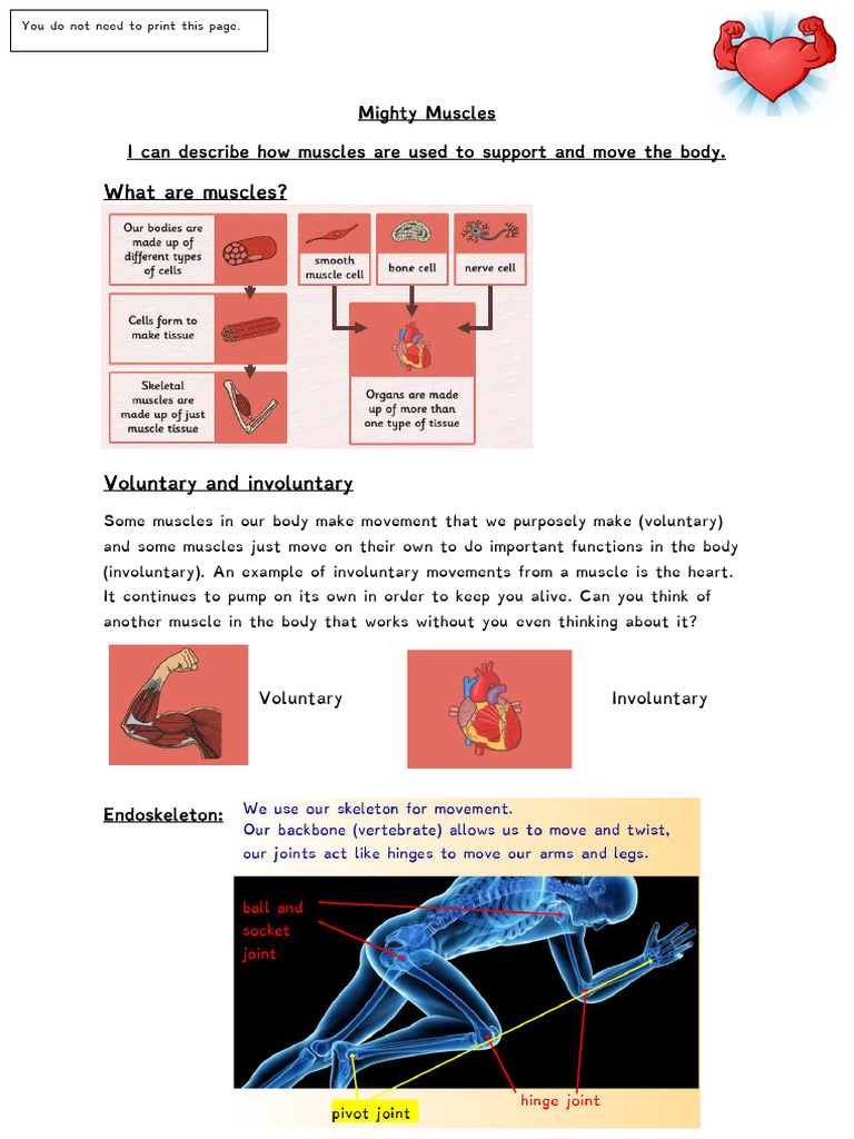 Mighty Muscles Information | PDF