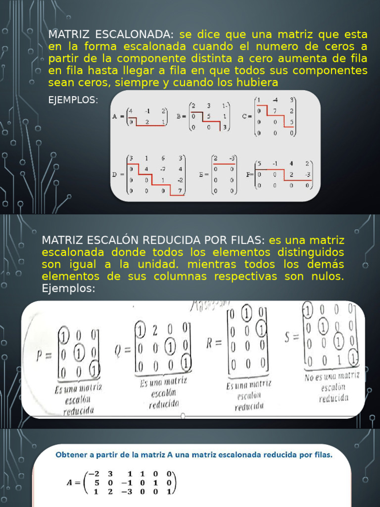 Qué es una matriz escalonada | PDF