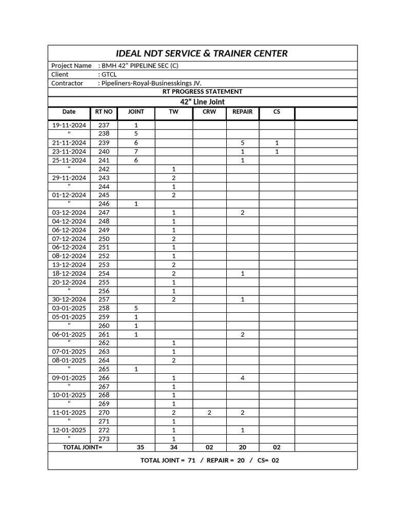 RT Progress Report for BMH Pipeline Project | PDF