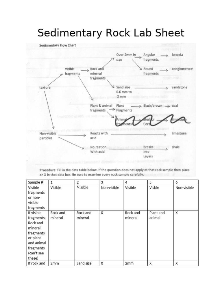 [Sedimentary Rock Lab] Sedimentary Lab Sheet | PDF | Clastic Rock ...