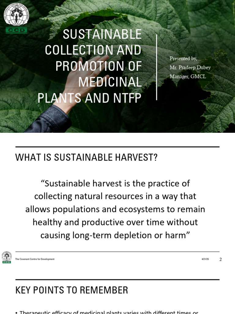 CG - CCD - Sustainable Collection & Promotion of Medicinal Plants | PDF ...