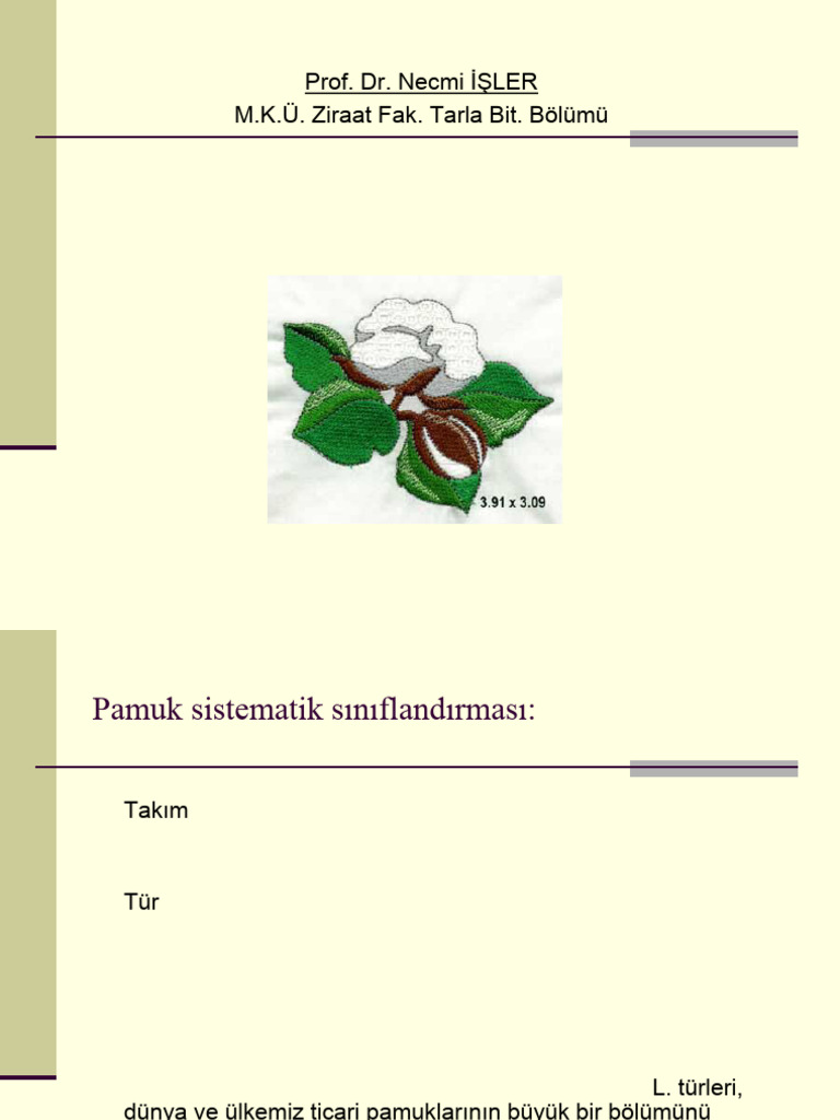 Pamuk: Prof. Dr. Necmi İŞLER M.K.Ü. Ziraat Fak. Tarla Bit. Bölümü | PDF