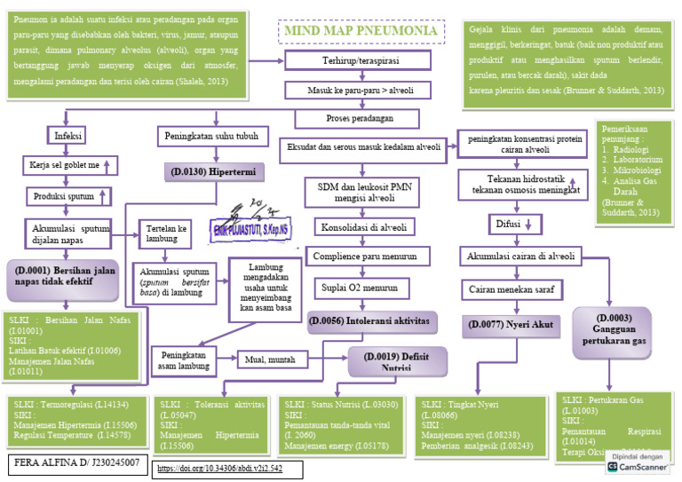 MIND MAP PNEUMONIA | PDF