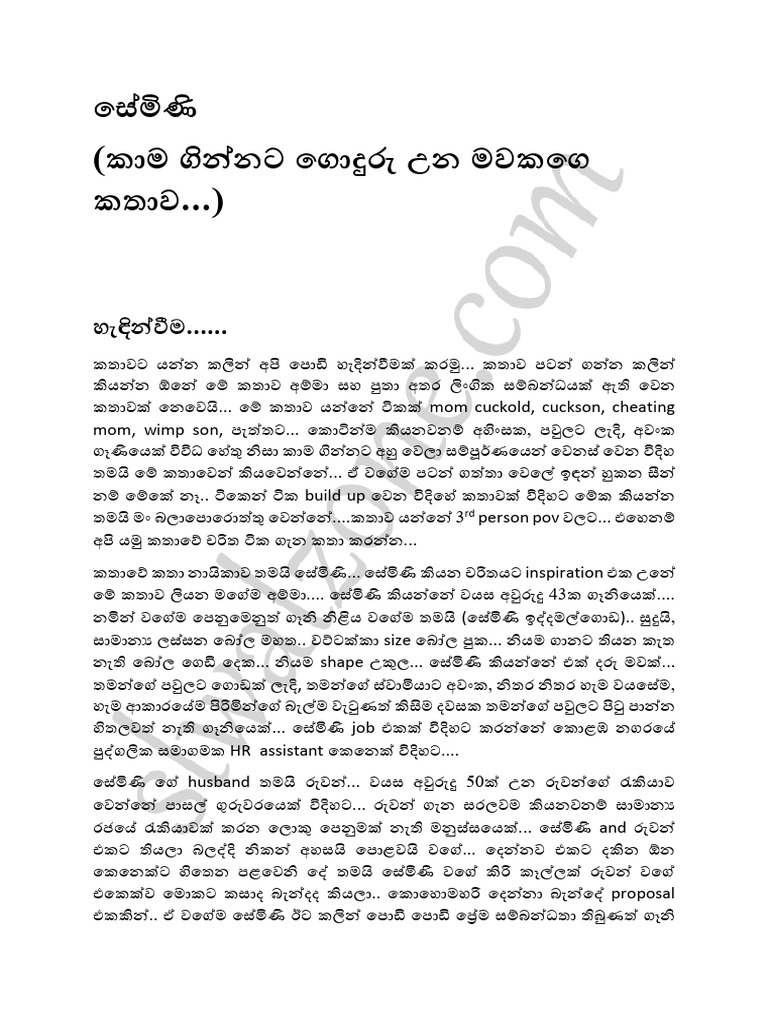 Semini Introduction | PDF