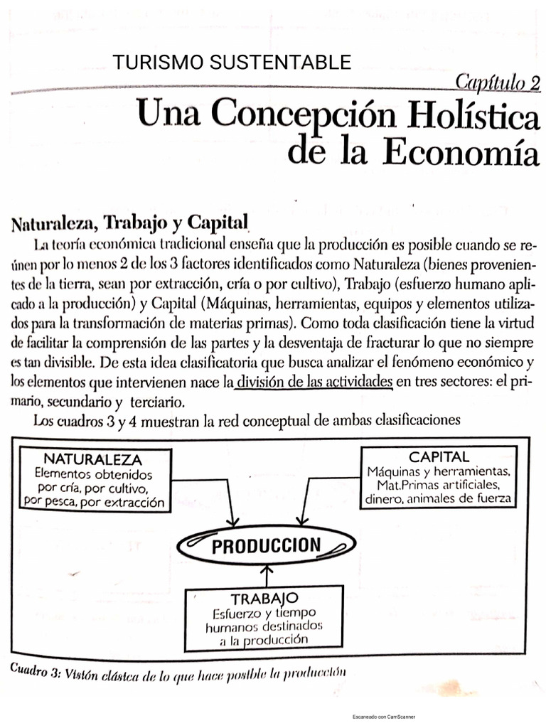 TURISMO SUSTENTABLE Una Concepcion Holistica de La Economia | PDF