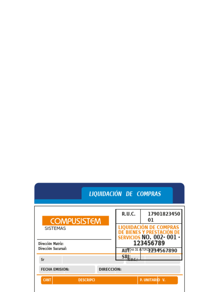 Formato Liquidaci - N de Compra de Bienes Vacio | PDF