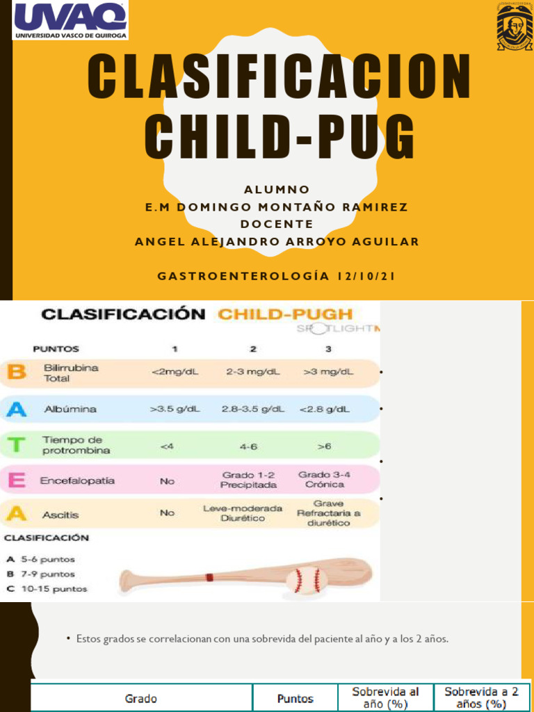 Clasificacion Child Pug | PDF