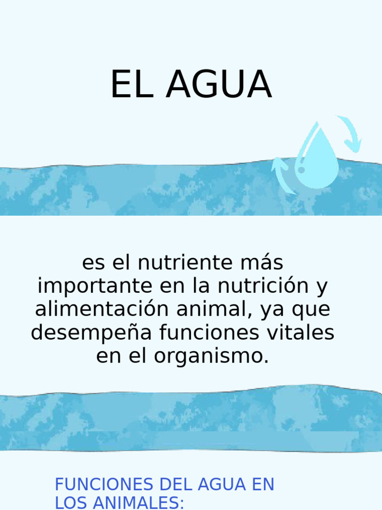 El Agua | PDF | Agua | Nutrientes