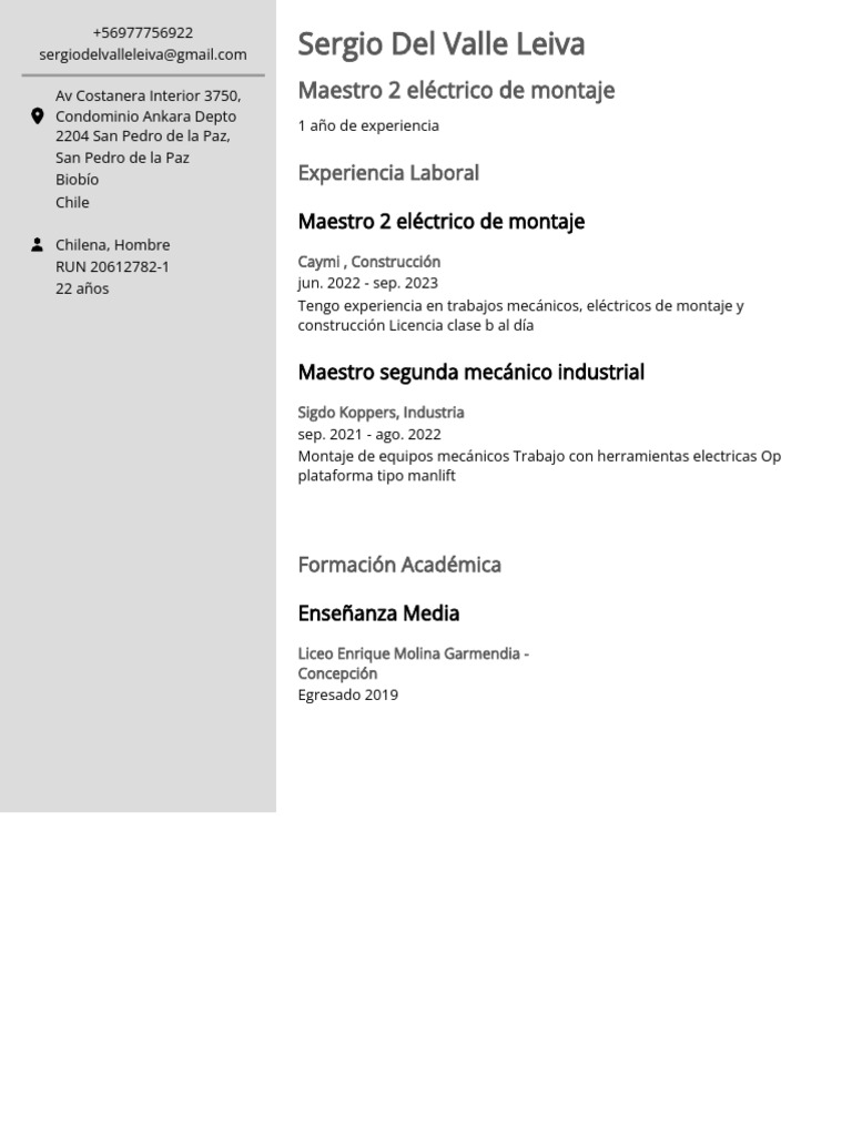 CV Sergio Del Valle Leiva | PDF