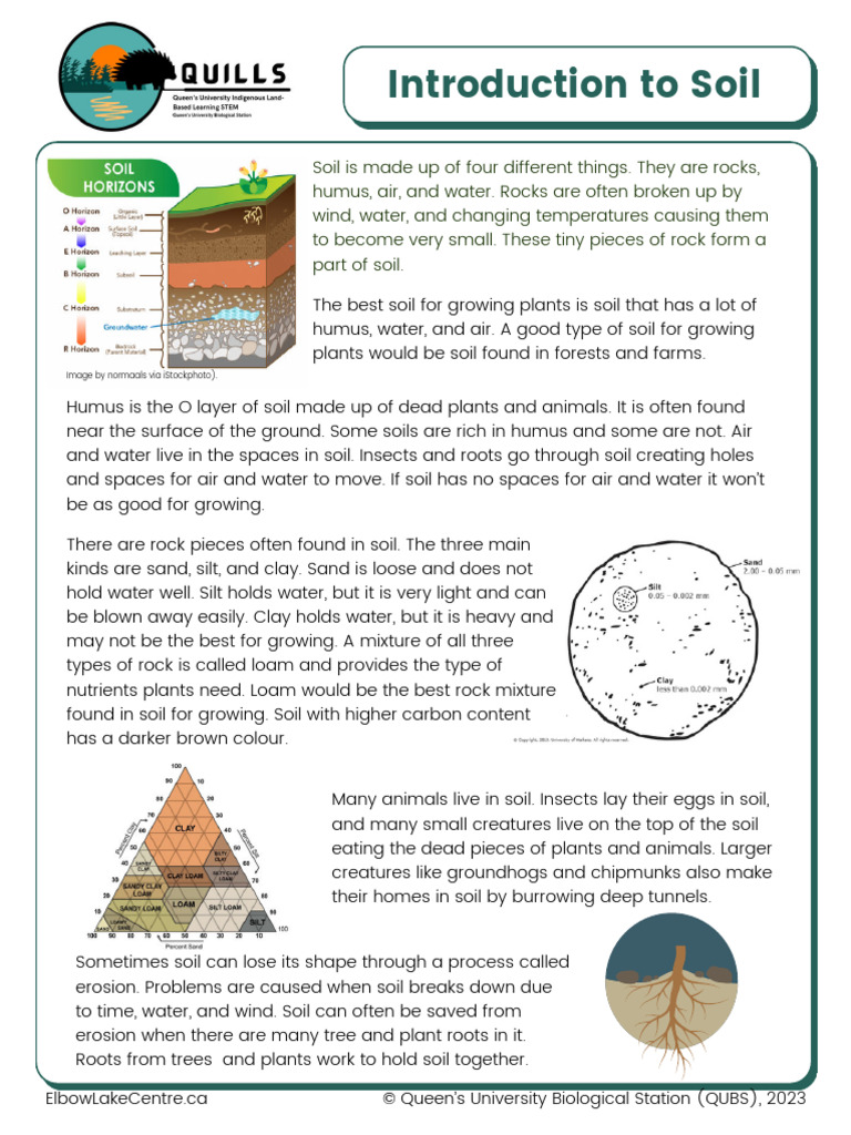 1a.4ii Introduction To Soil Worksheet | PDF | Soil | Clay