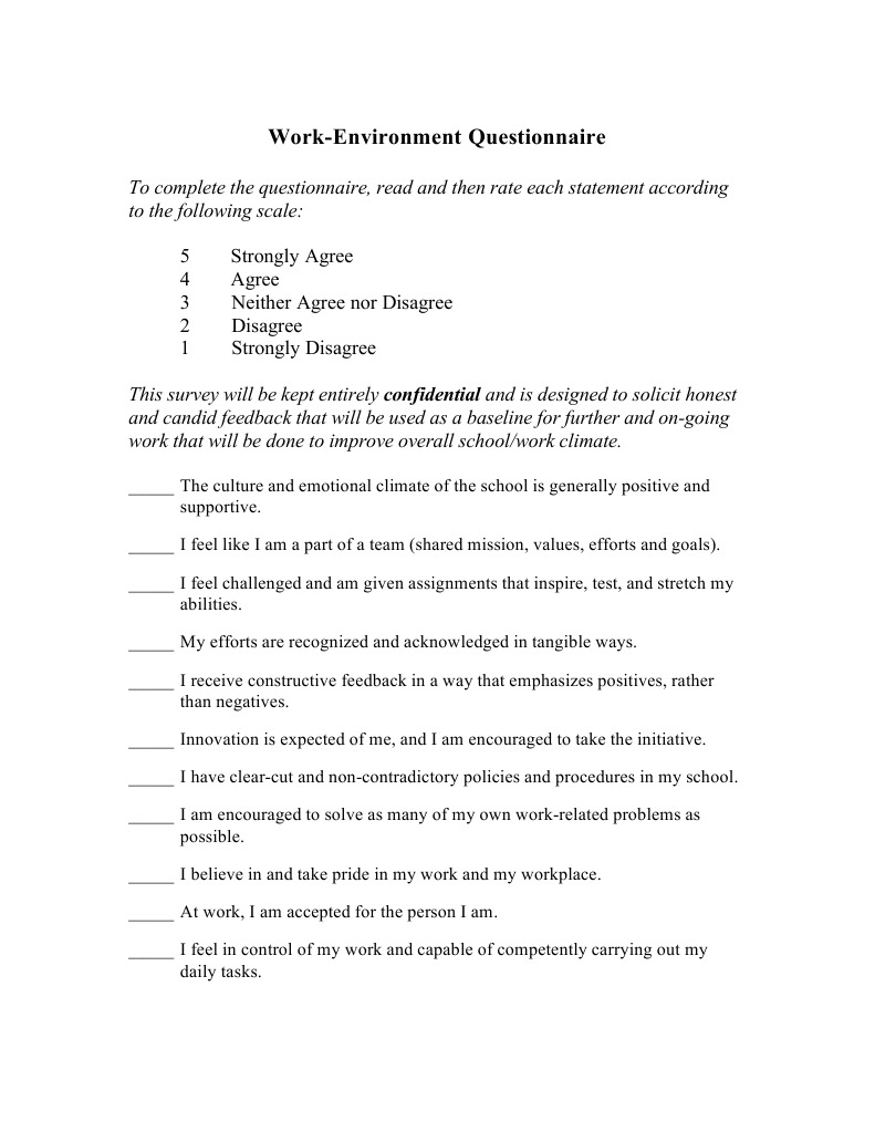 Work Environment Survey | PDF