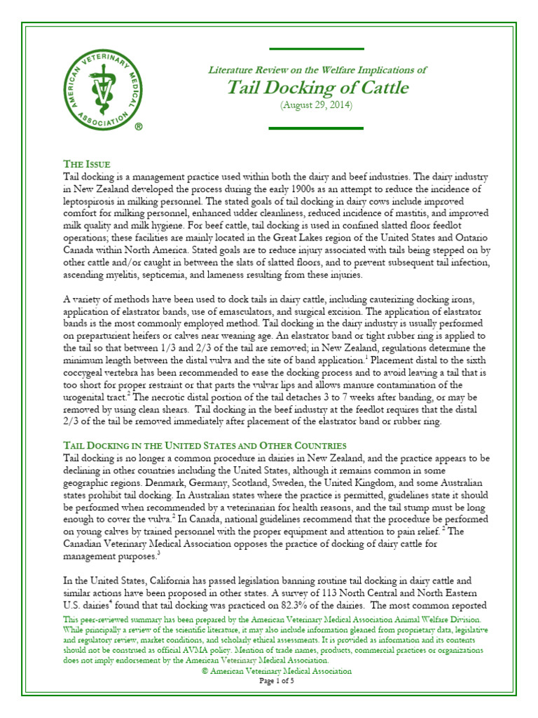 Tail Docking Cattle BGND | PDF | Ischemia | Cattle