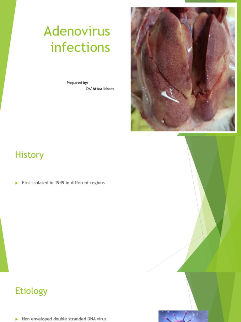Adenovirus Infections in Poultry 1727915084 | PDF | Adenoviridae | Virus