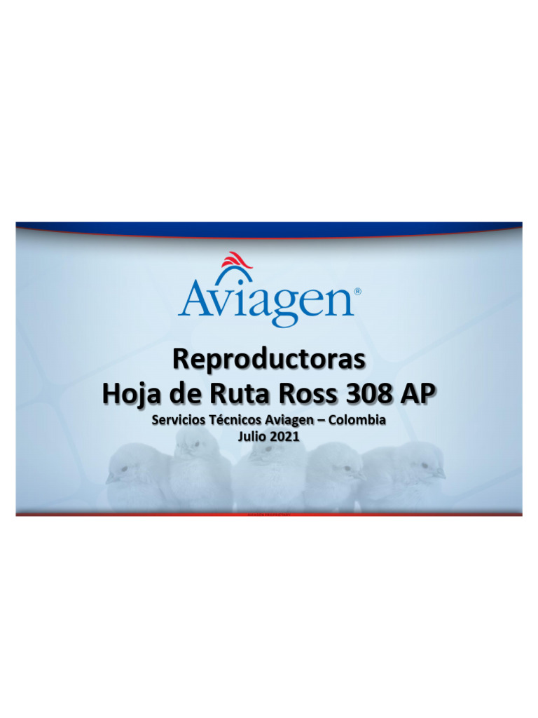 Guía de Manejo Ross 308 AP | PDF | Aves | Alimentos