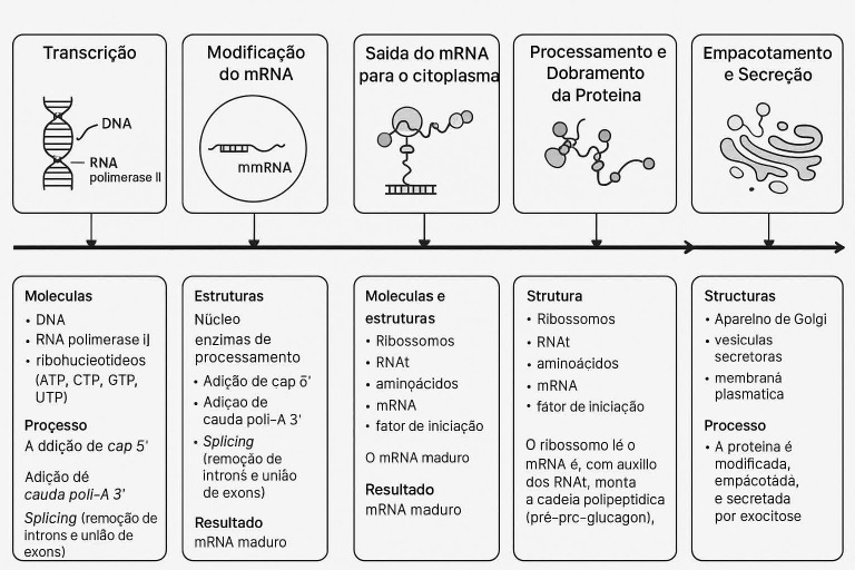 Fluxo Expressao Genica | PDF