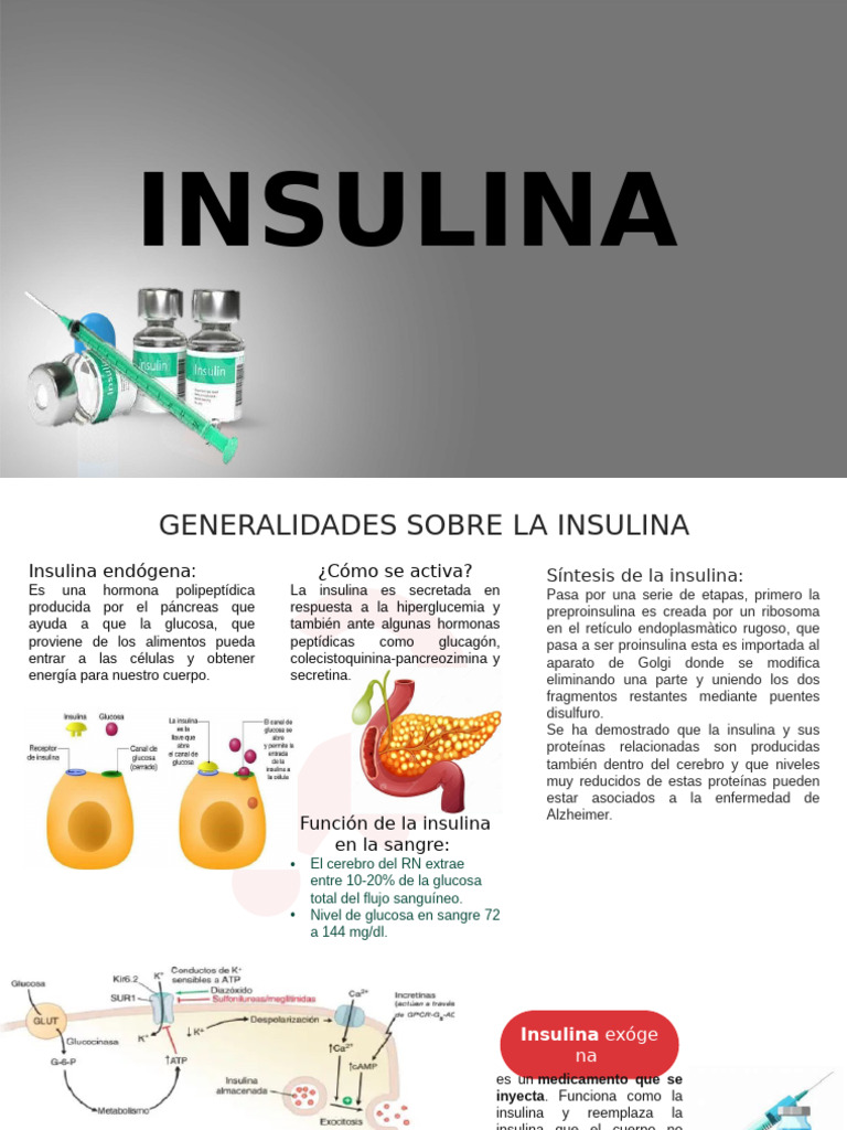 Insulina | PDF | Insulina | Bioquímica