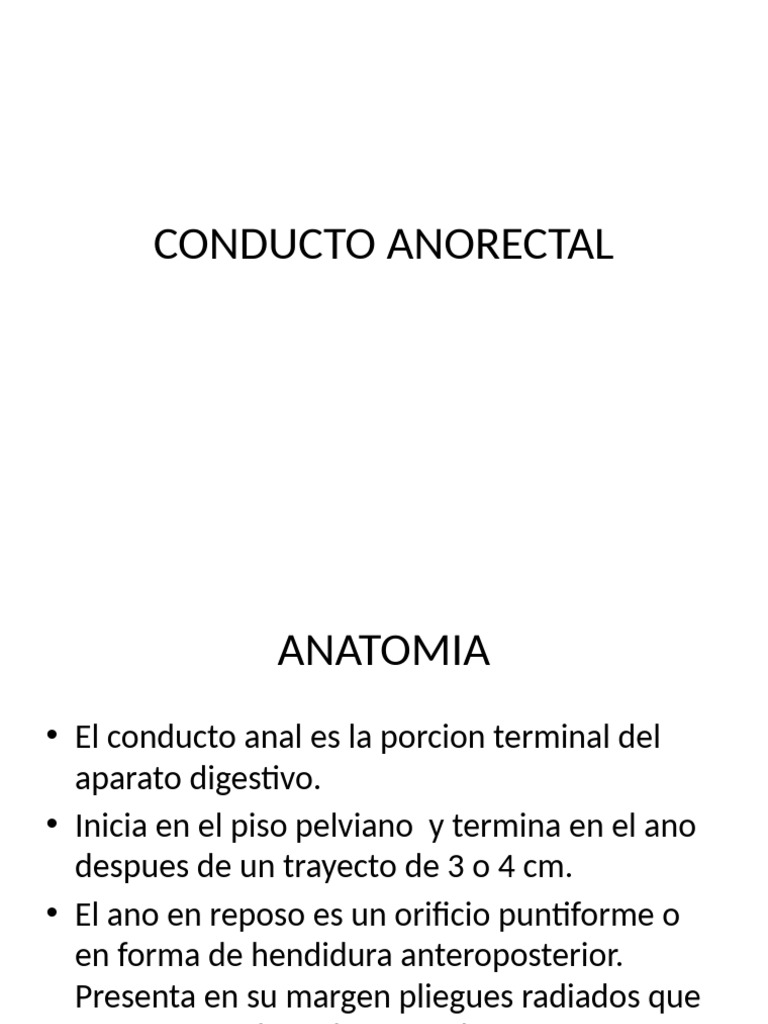 Conducto Anorectal | PDF