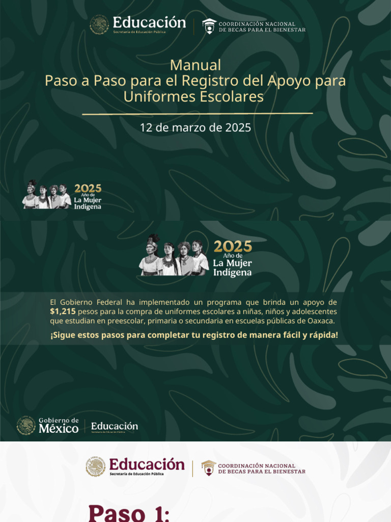 Manual Paso A Pao | PDF