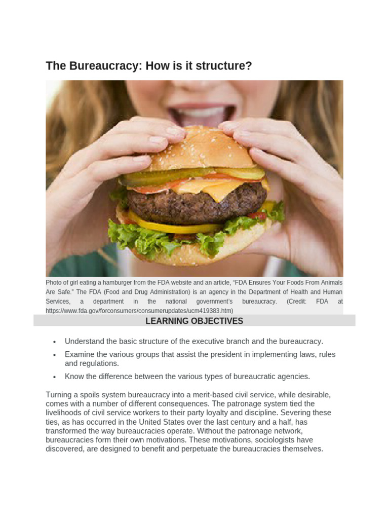 The Bureaucracy How Is It Structured | PDF | Bureaucracy | Food And Drug Administration