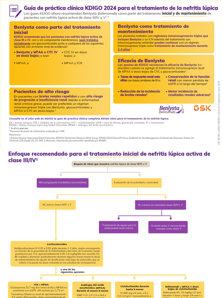 Guía KDIGO 2024: Nefritis Lúpica | PDF | Medicina | Tratamientos médicos