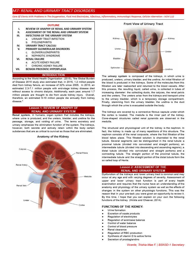 Renal and Urinary Tract Disorders Guide | PDF | Kidney | Urinary ...