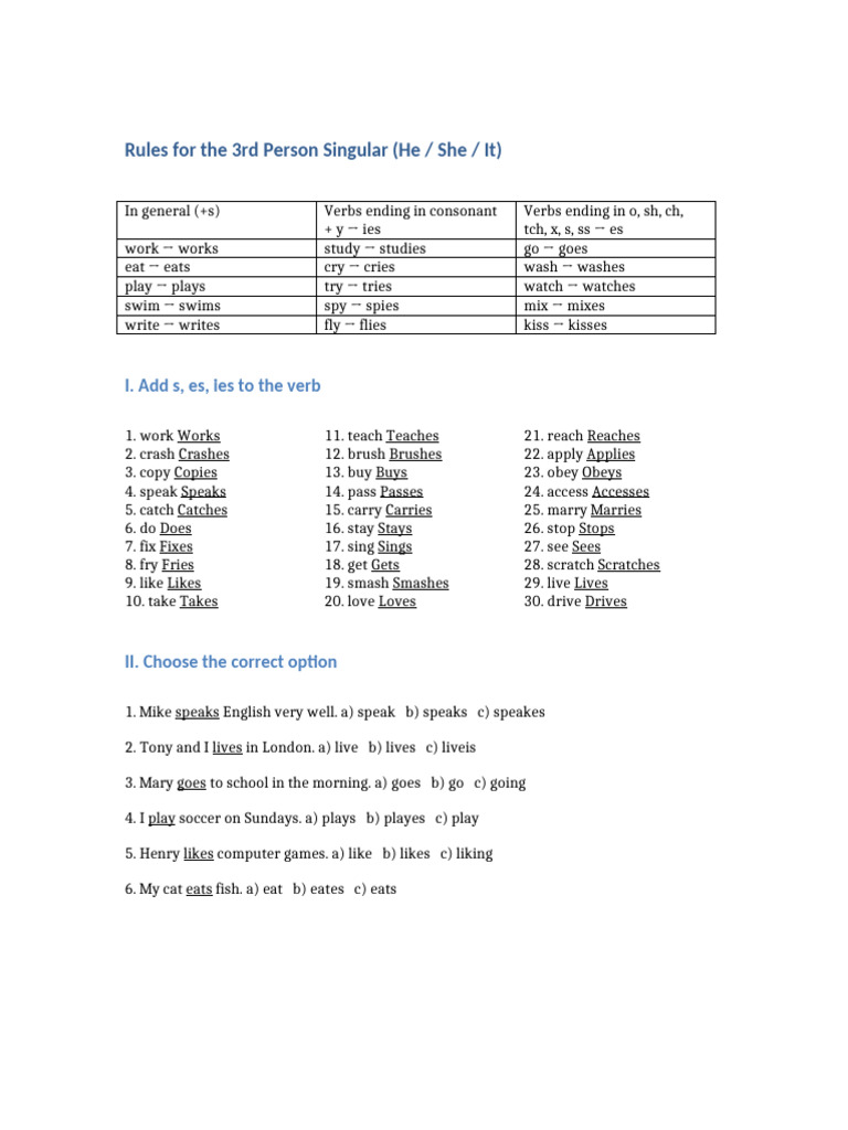 3rd Person Singular Rules1 | PDF