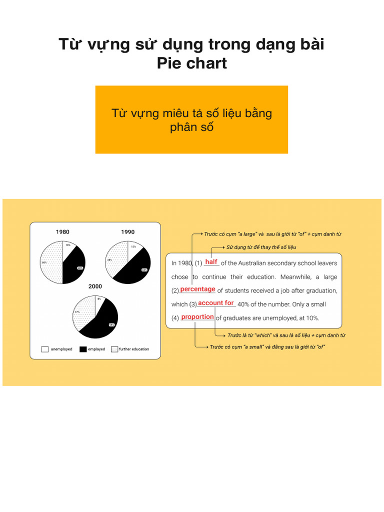T V NG S D NG Trong D NG Bài Pie Chart | PDF