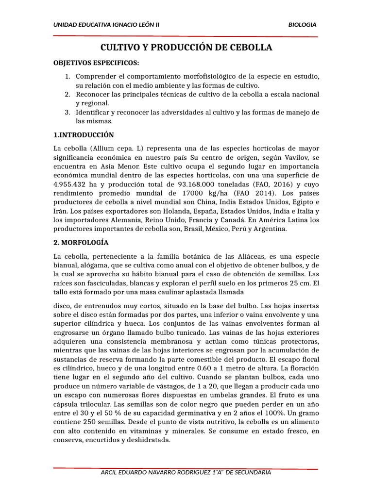 Cultivo y Producción de Cebolla | PDF | Cebolla | Agricultura