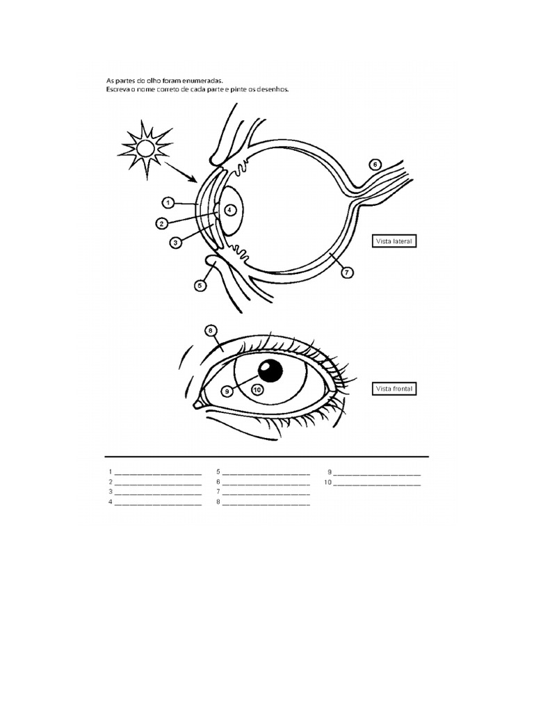Atividade de Ciã Ncias Da Luma | PDF
