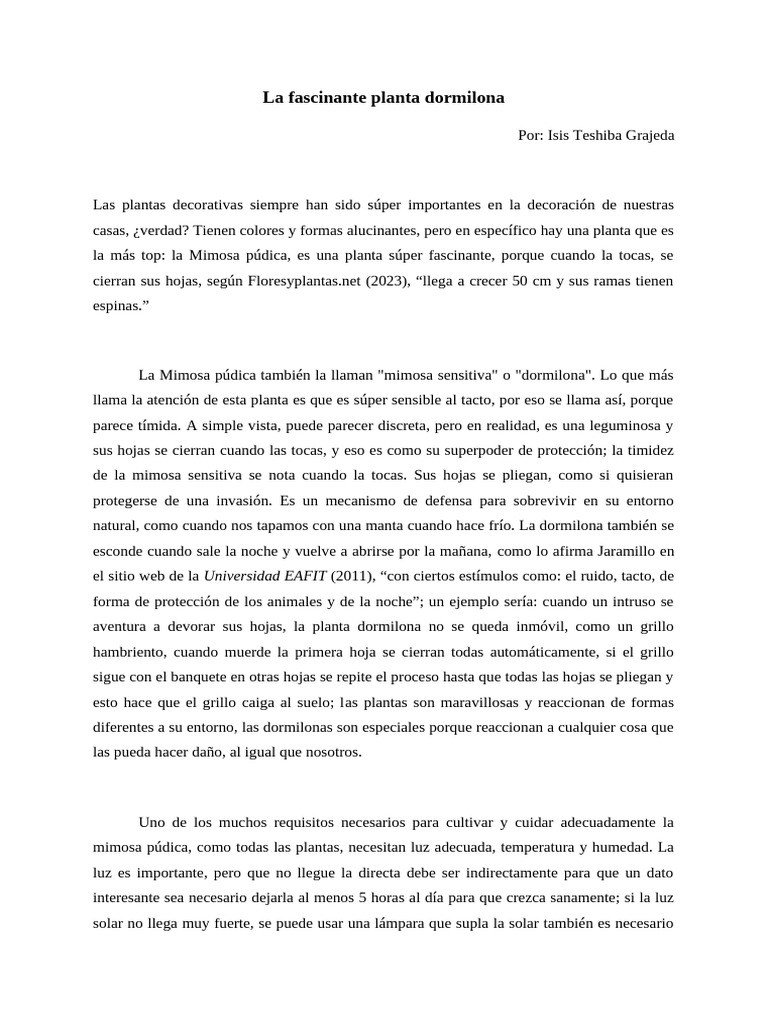 La fascinante Mimosa Púdica: Dormilona | PDF | Plantas | Américas