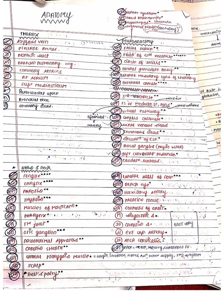 Anatomy Marking | PDF