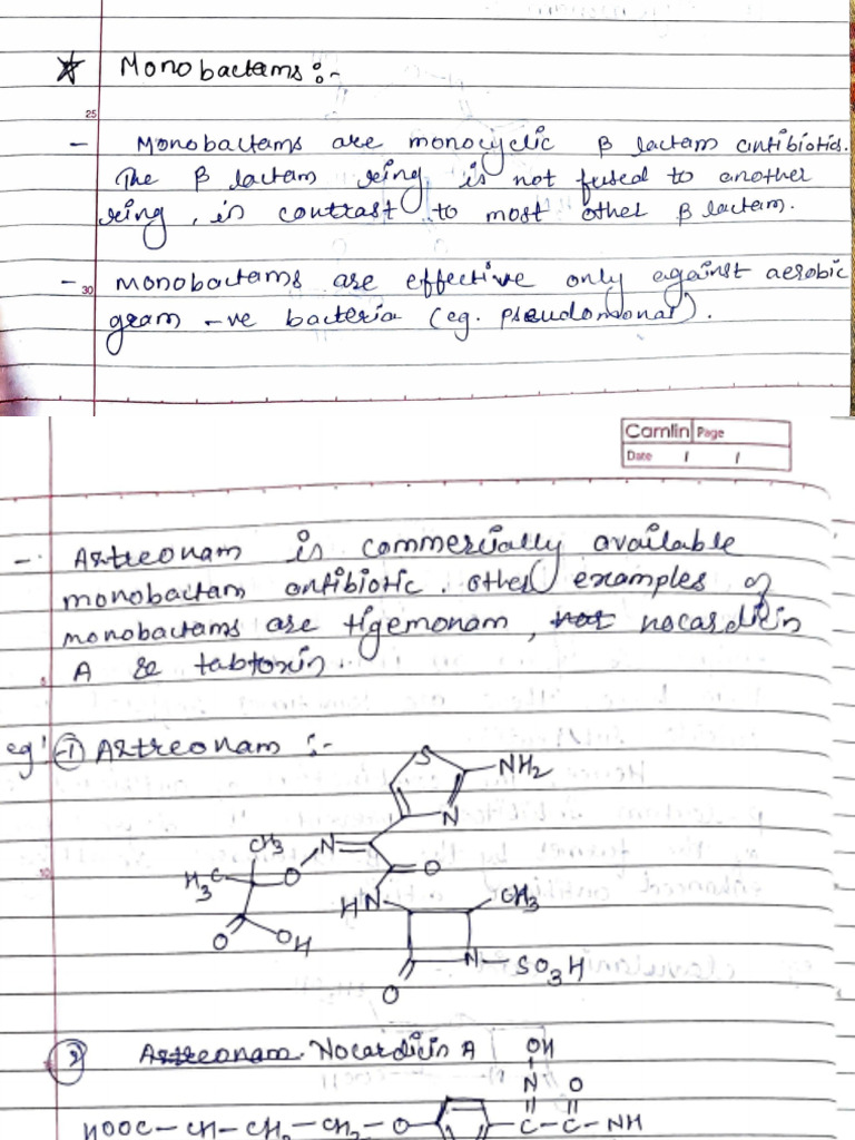 Monobactams Notes | PDF