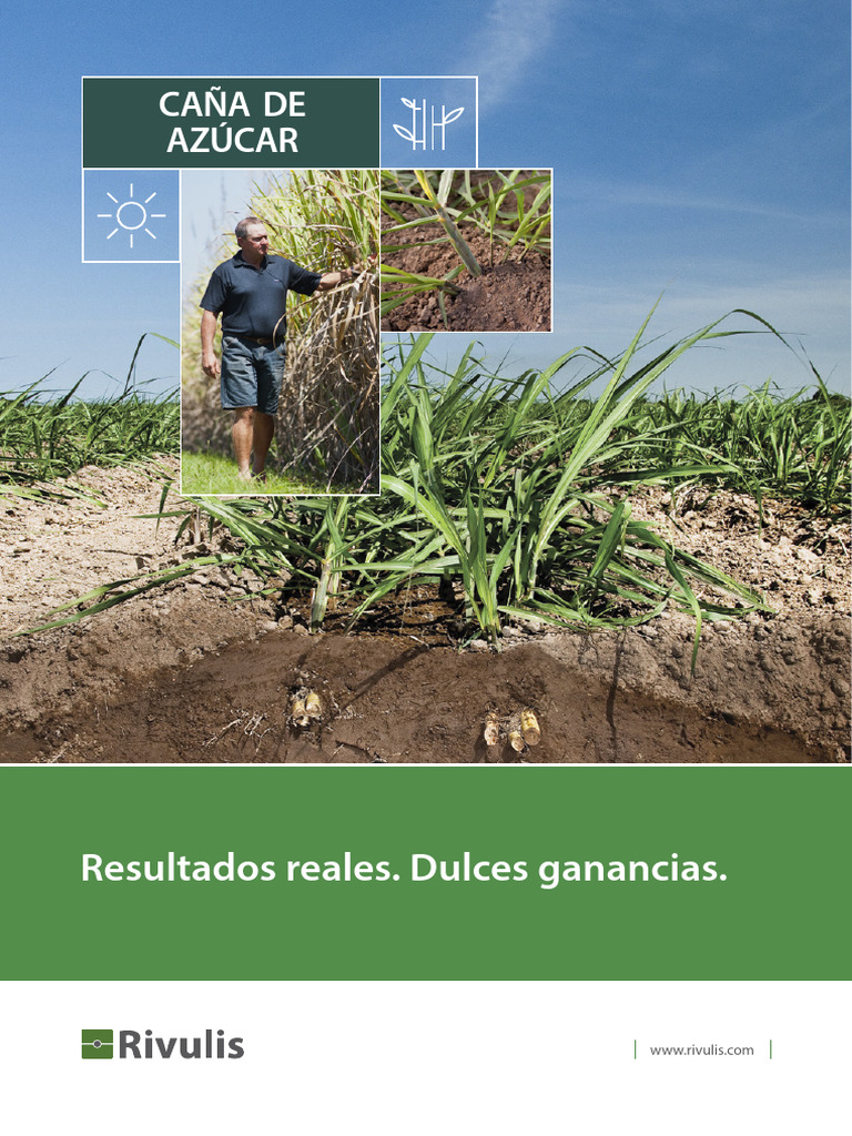 Rivulis CanadeAzucar Espanol EspanaLA 20191025 Web | PDF | Riego | Caña ...