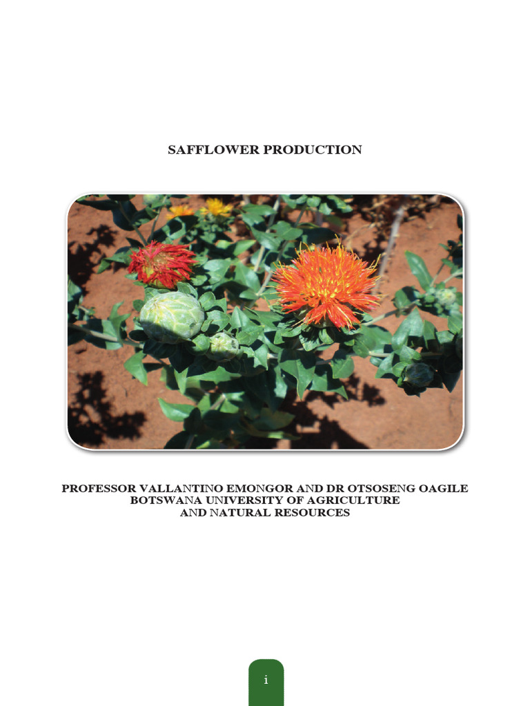 Safflower Manual - BUAN - Compressed | PDF | Pollination | Cooking Oil