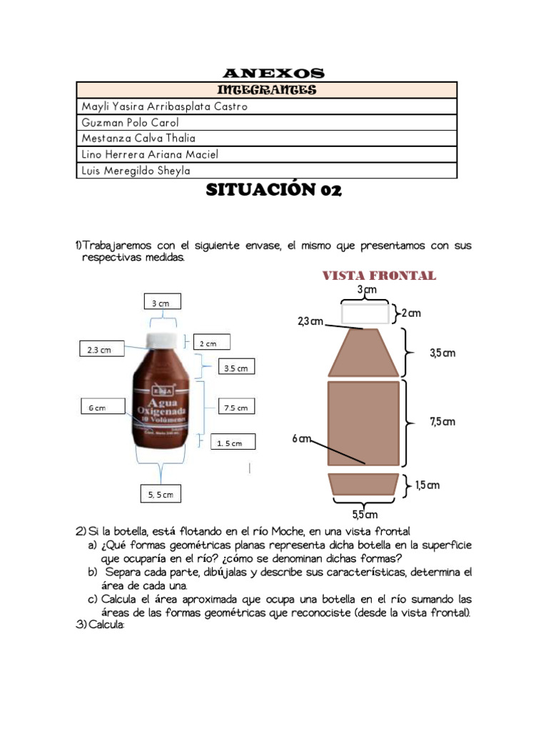Anexos 2 - Areas y Perimetros. Problematica de La Botella | PDF | Rectángulo | Matemáticas